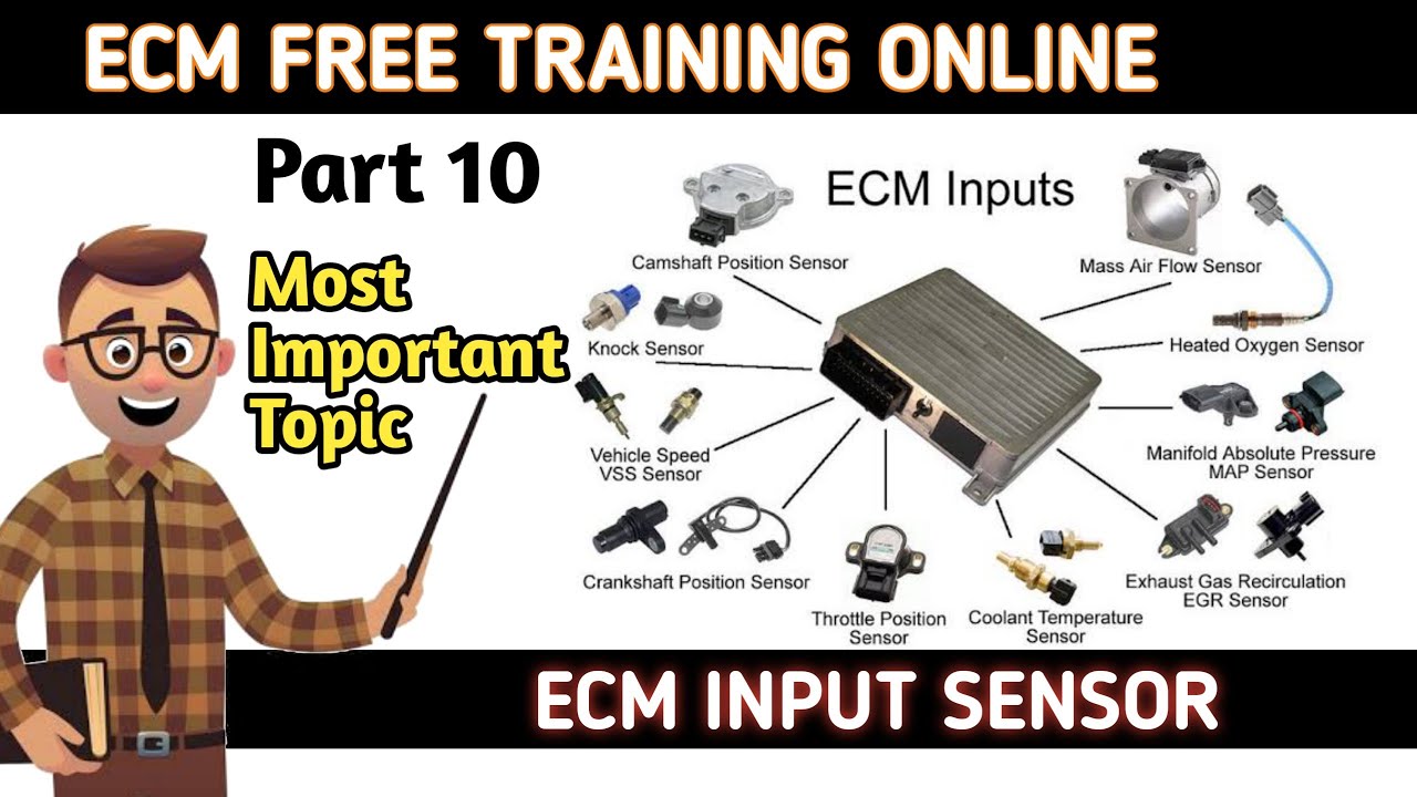 ECM input parts PRACTICAL TRAINING PART 10 #repairing #car #jodhpur # ...