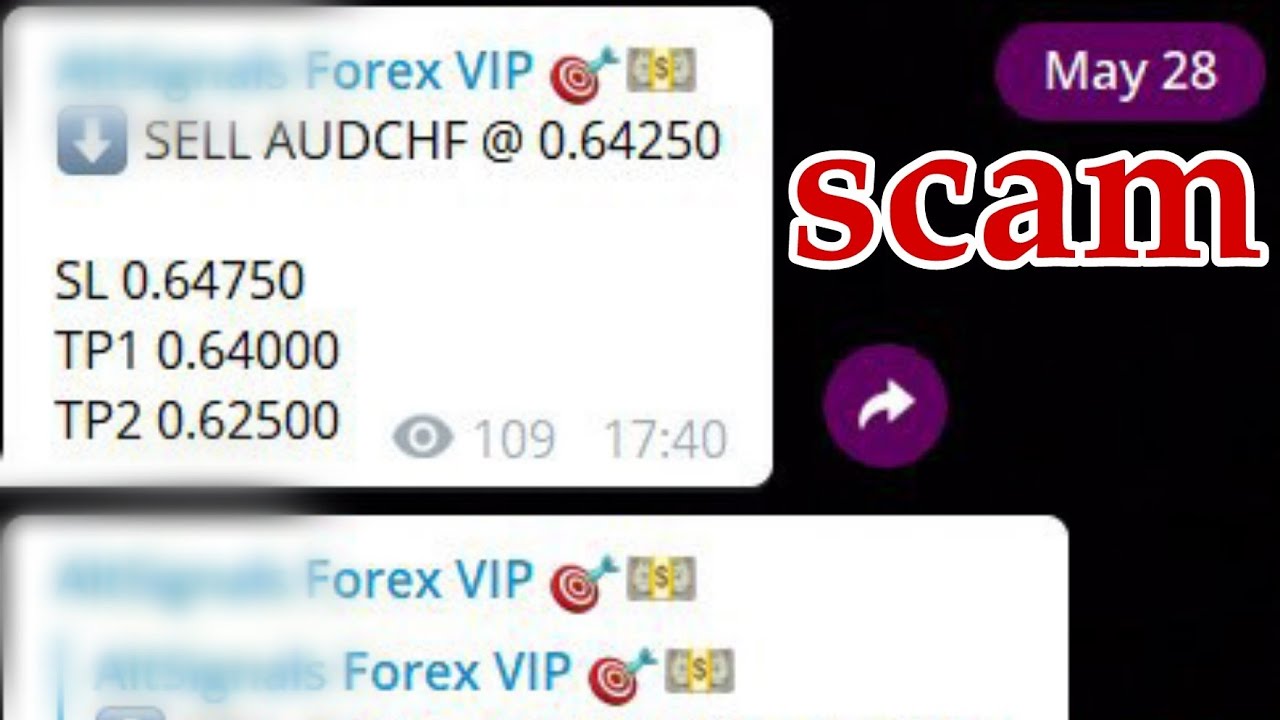 why Forex Signals Are a Scam! - YouTube
