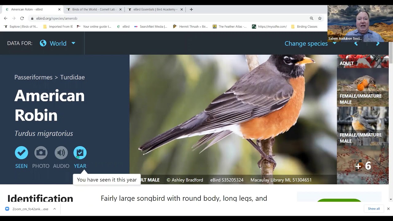 Use eBird to Find the Birds You Want to See Webinar - YouTube
