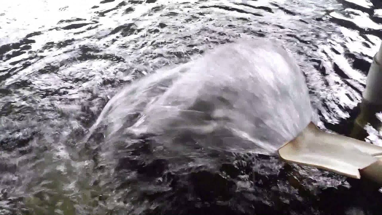 Aeration filling the fish tank - YouTube