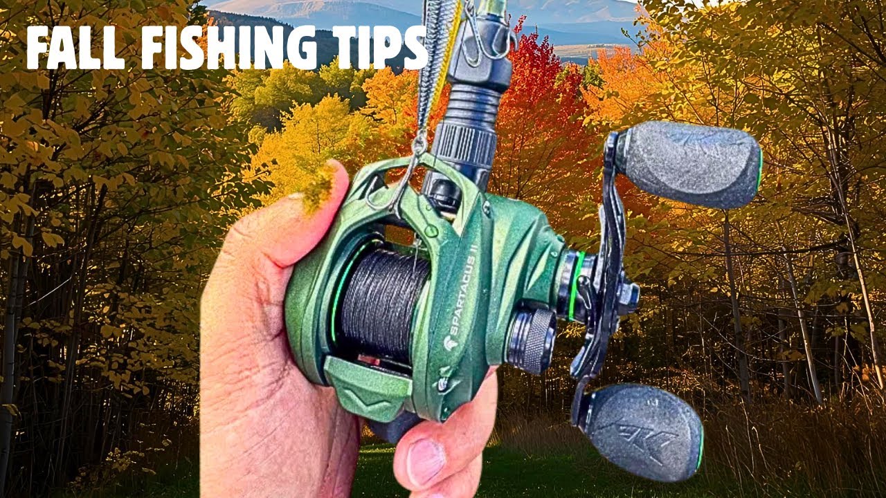 The Ultimate Seasonal Fishing Guide – Tips for Every Time of Year ...