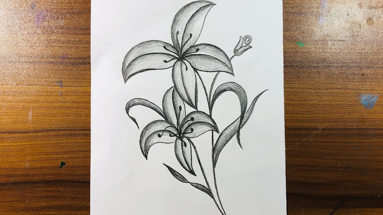 How to Draw Flowers Easy Pencil Art | Beautiful Flowers Drawing Step By ...