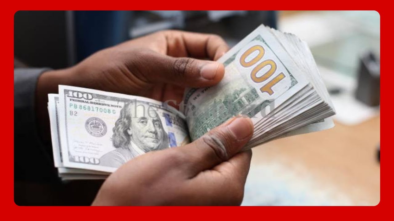 Empowering Diaspora: New Money Transfer System Aims to Enhance ...