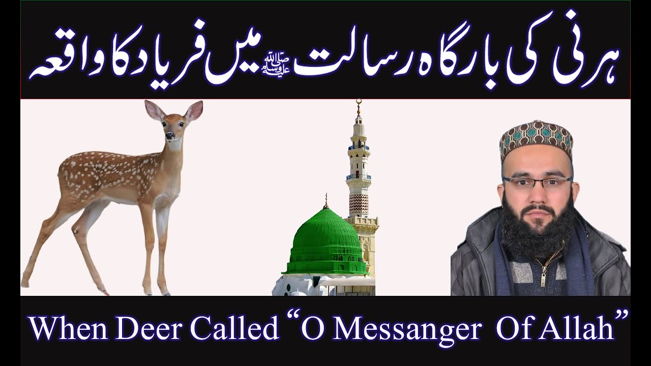 [Story] When The Deer Talking to Prophet Muhammad ﷺ | Molana Amir Ul ...