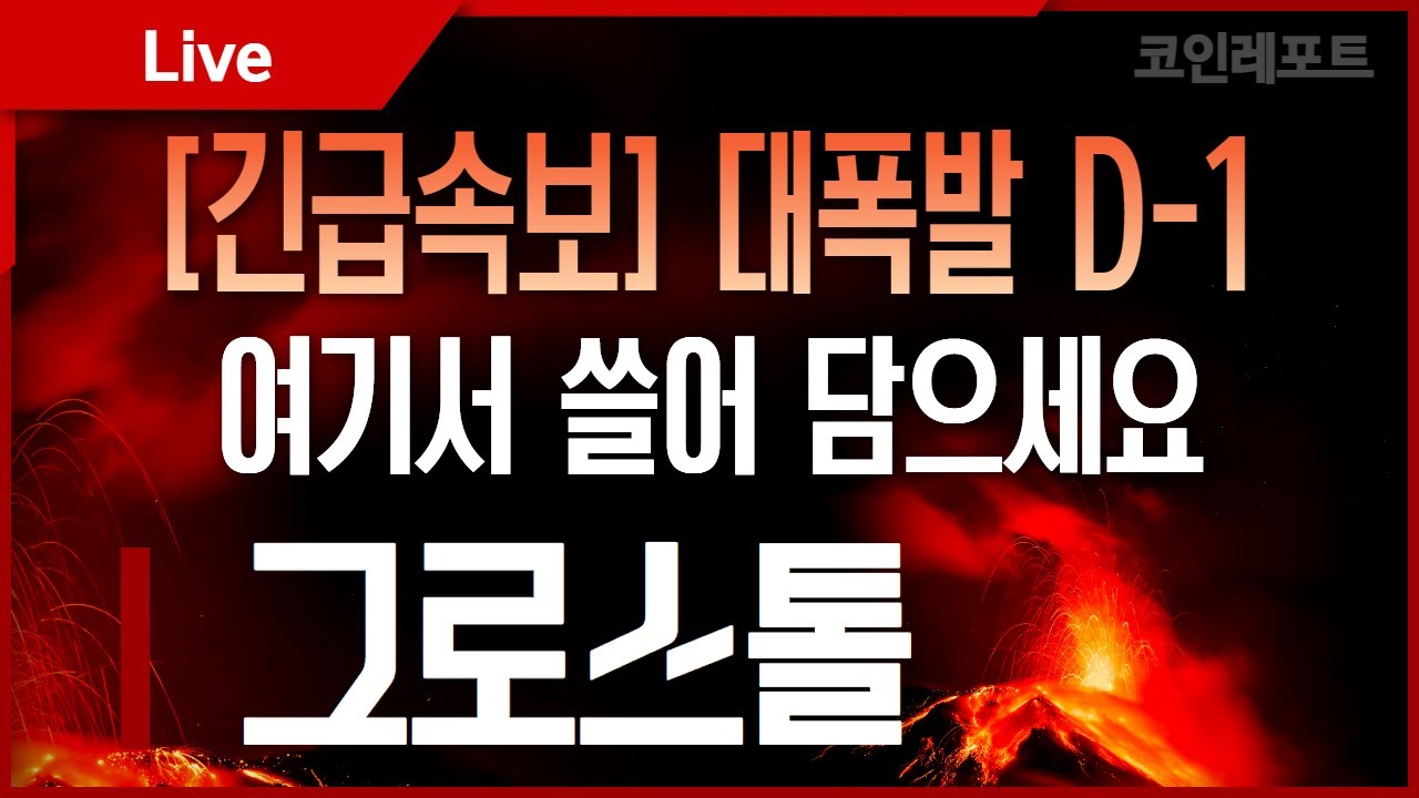 그로스톨코인 중대발표 변동성 최대 큰 거 온다 준비해라 그로스톨 그로스톨코인 그로스톨전망 그로스톨목표가 그로스톨호재