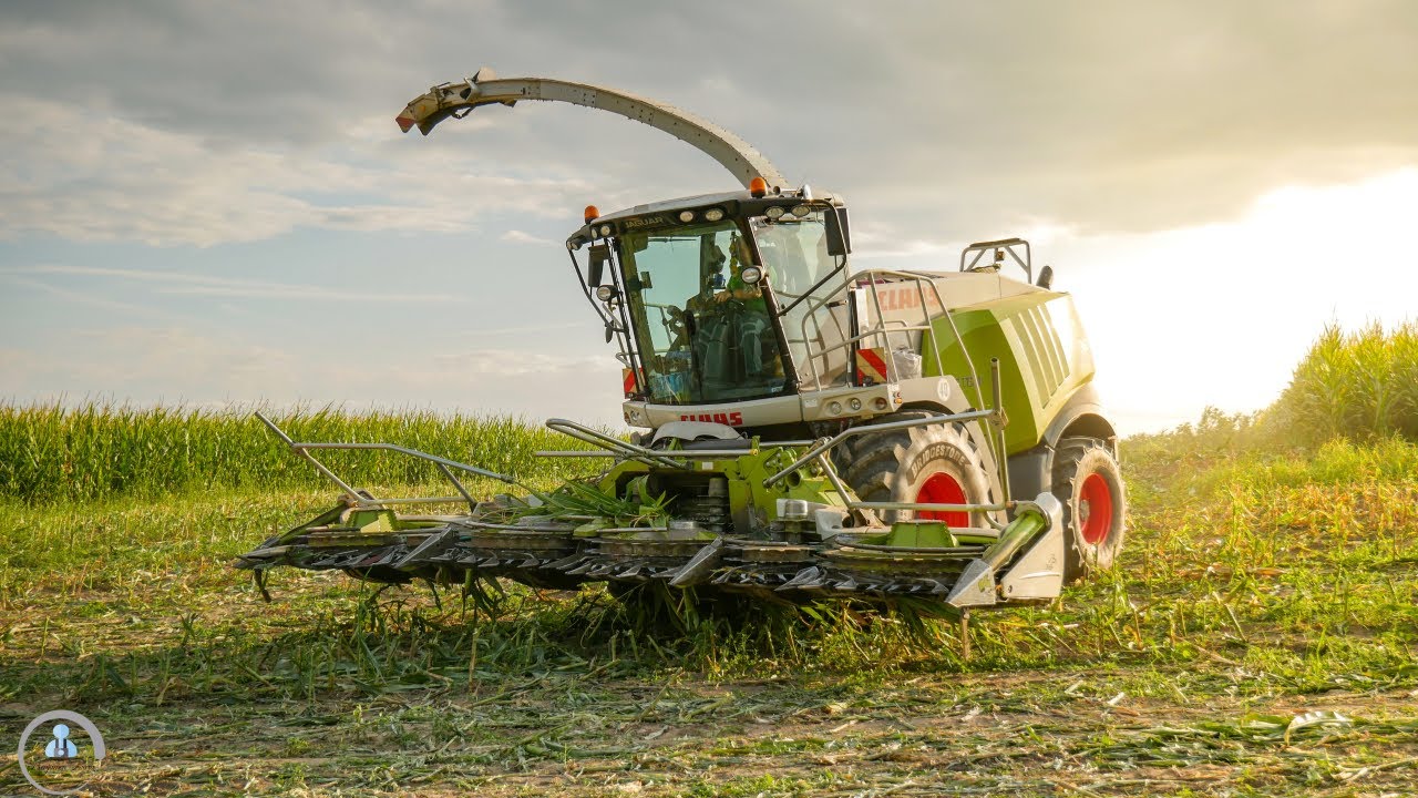 🌽Siláže 2021 - CLAAS JAGUAR 960 + 4x Case IH ( Puma 150, 185, 225 ...
