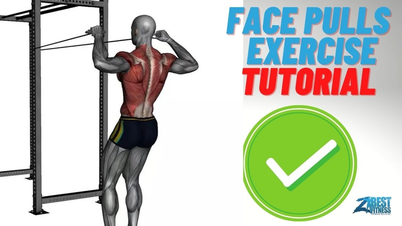 How To Do A Face Pull (EXERCISE TUTORIAL) - YouTube