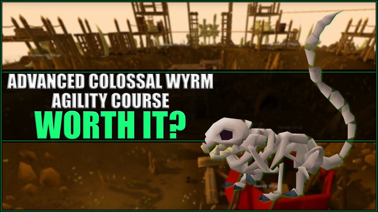 Actual XP Rates of the Advanced Colossal Wyrm Agility Course in OSRS ...