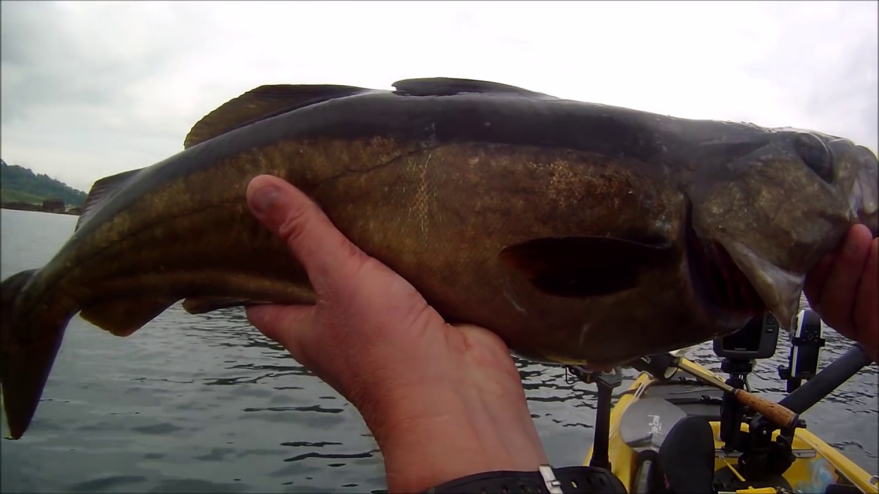 Cornish Shore and Kayak Fisherman - Channel Trailer - YouTube