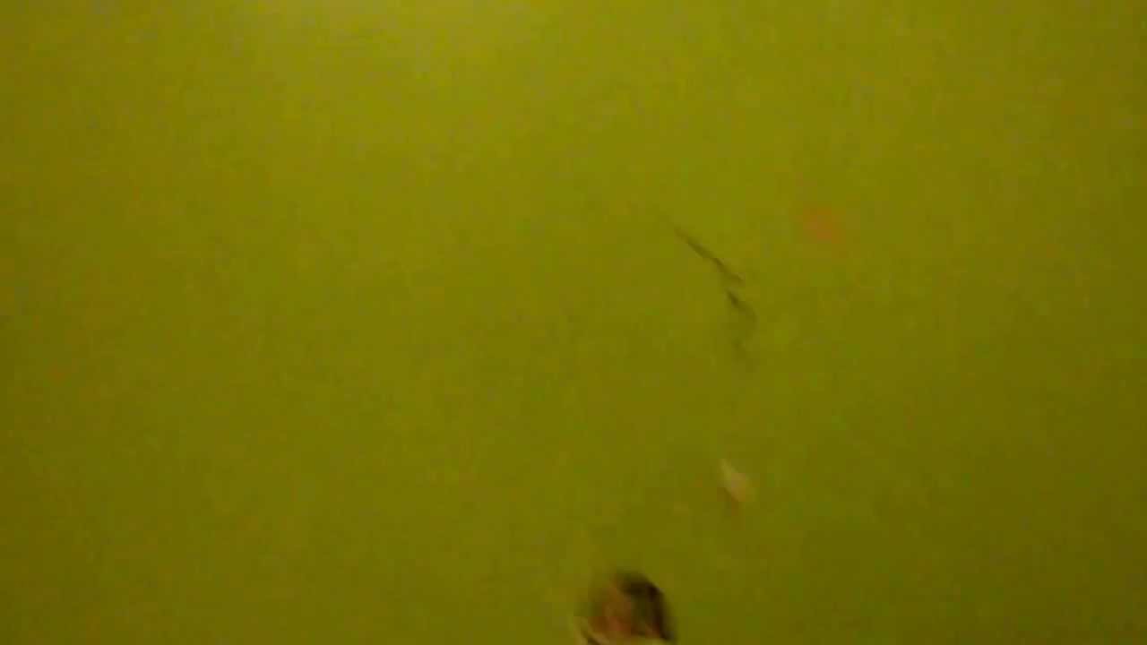 This Is A Stunt That Went Wrong YouTube this-is-a-stunt-that-went-wrong-youtube