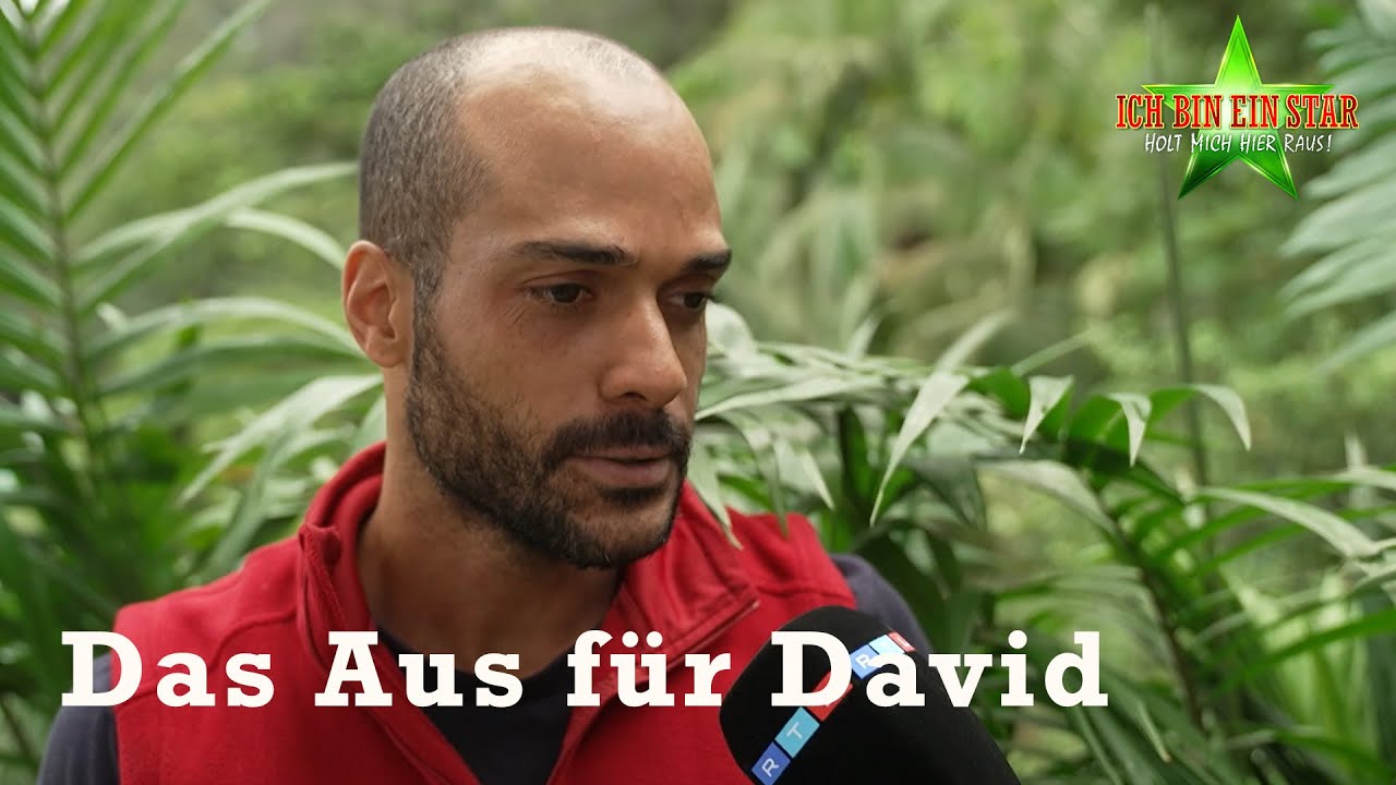 David muss das Camp an Tag 11 verlassen | Dschungelcamp 2024 - YouTube