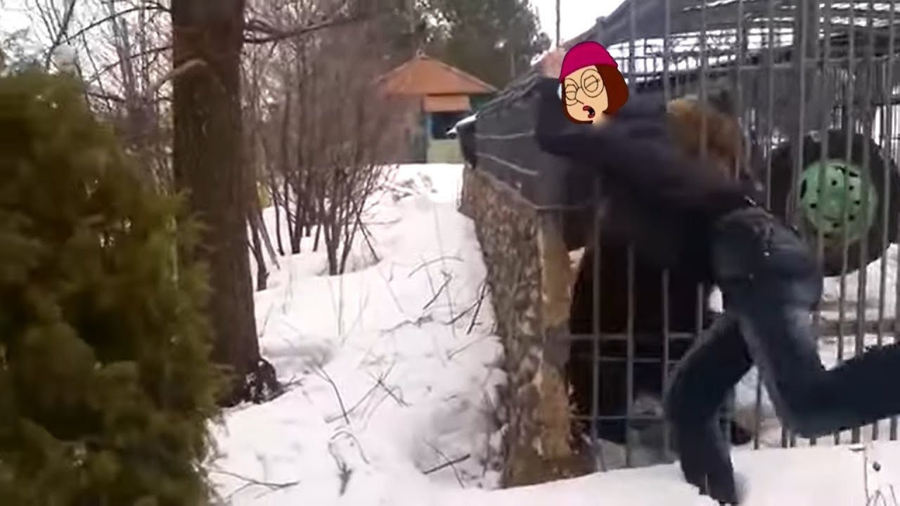 Peter wants to prank Meg (hard). EXTREMAL ragdoll moment! [AI Family ...