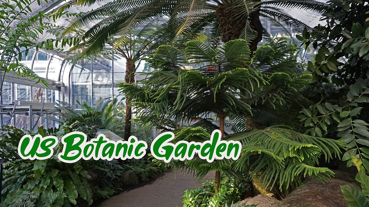 4 days in Washington DC - US Botanic Garden - YouTube