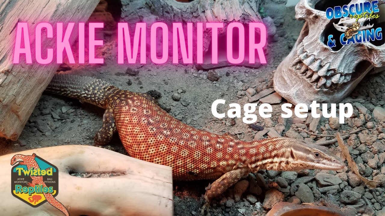 Ackie Monitor setup - YouTube