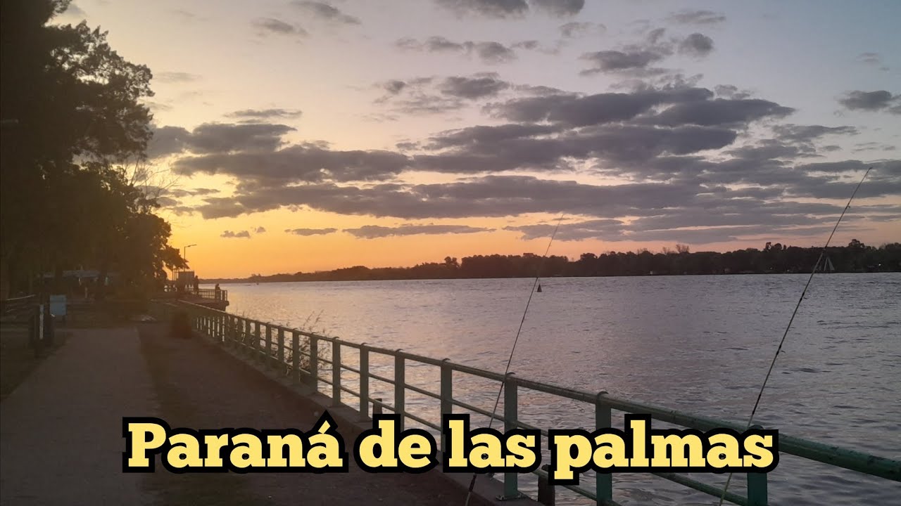 PESCA EN EL RIO PARANÁ DE LAS PALMAS - YouTube