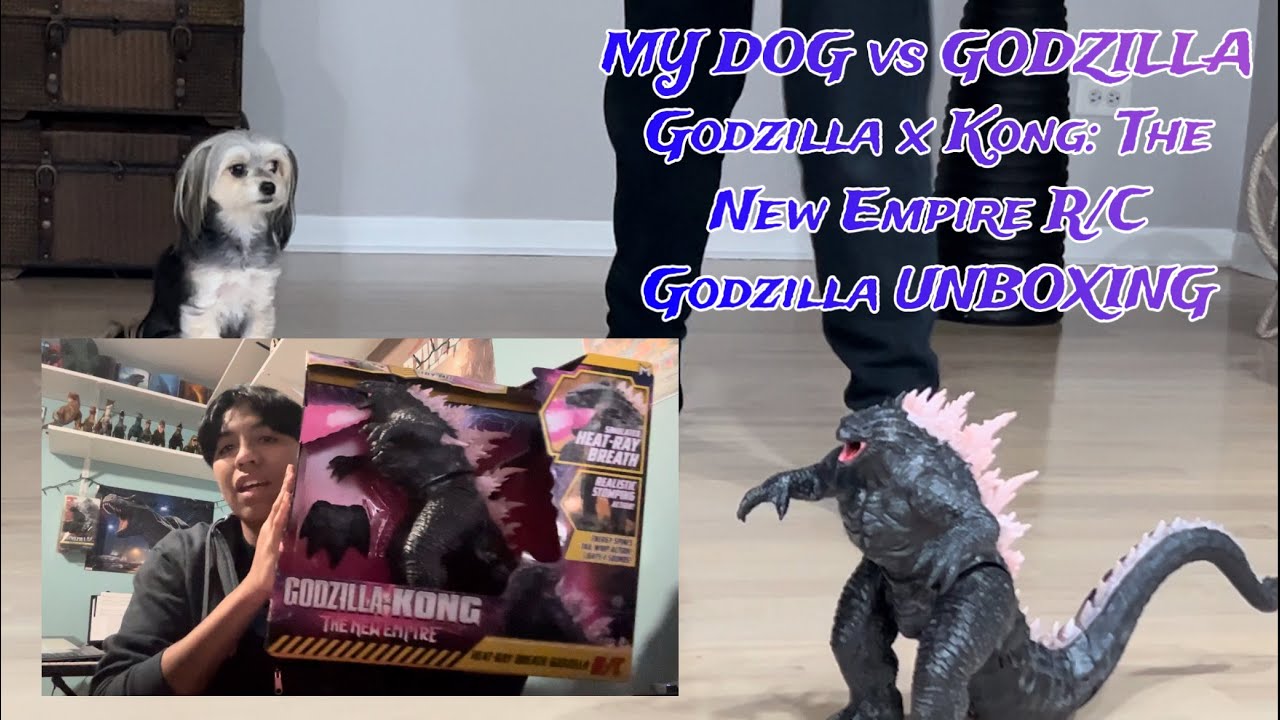 MY DOG vs GODZILLA | Jada Toys R/C Godzilla UNBOXING | Godzilla X Kong ...