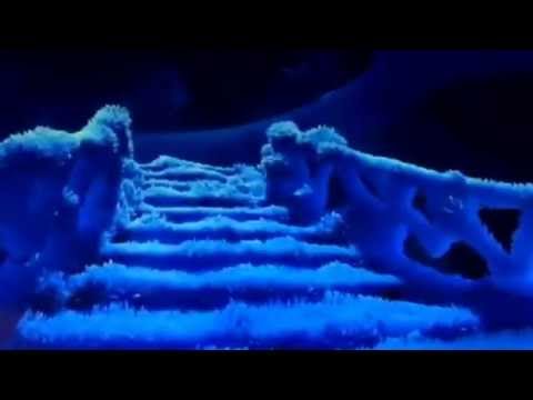 Frozen and Fire //LET IT GO AND LET IT BURN// - YouTube