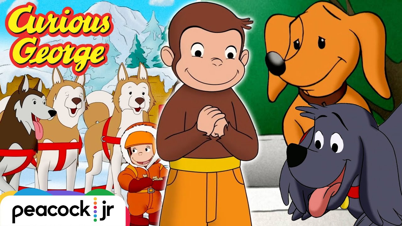 Monkeys & Dogs 💛🐵🐶🤎 Best Dog Moments with George! | CURIOUS GEORGE ...