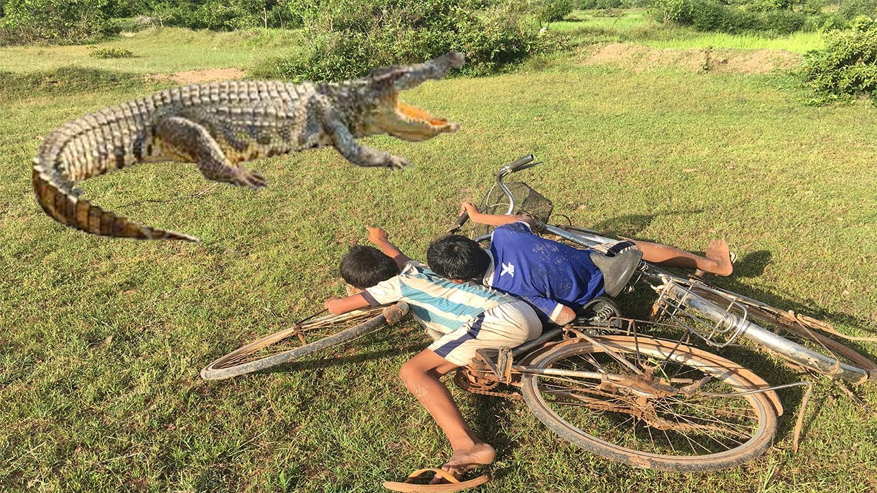 Terrifying!Two Brave Children Catches Crocodile While Riding Bicycle ...