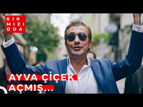 Şu Meyvenin Bile Tadı Bir Başka! | Kırmızı Oda