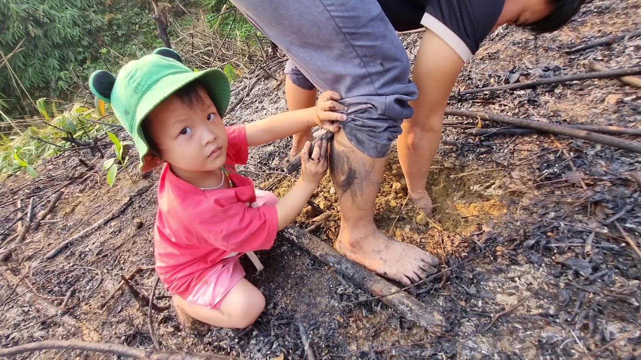 Father and son went to plont trees - YouTube