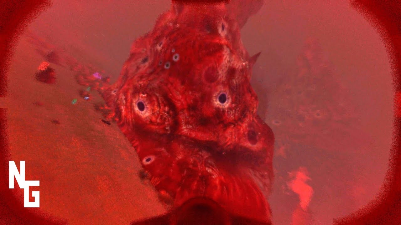 Subnautica THE RED PLAGUE MONSTER - YouTube