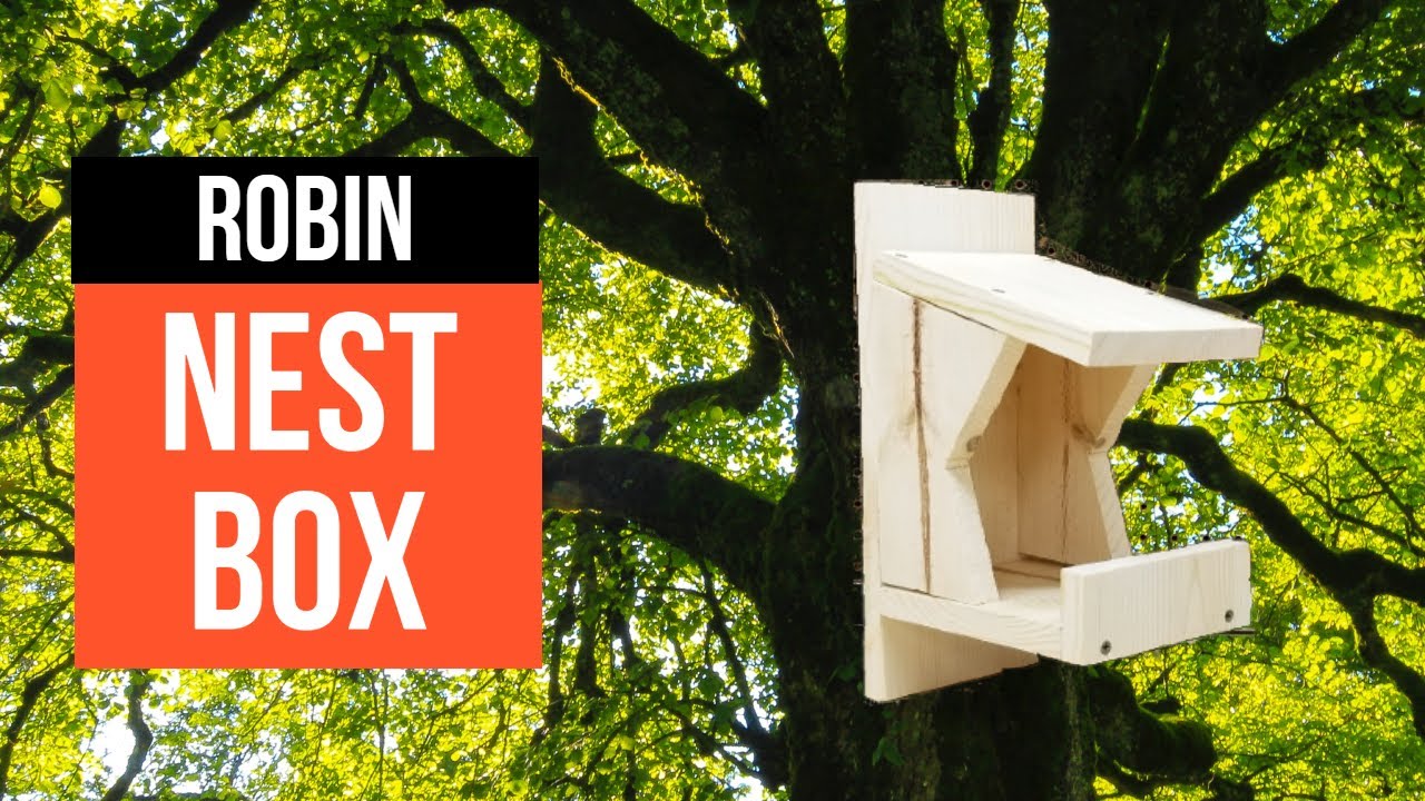 Robin Nest Box for your GARDEN - YouTube