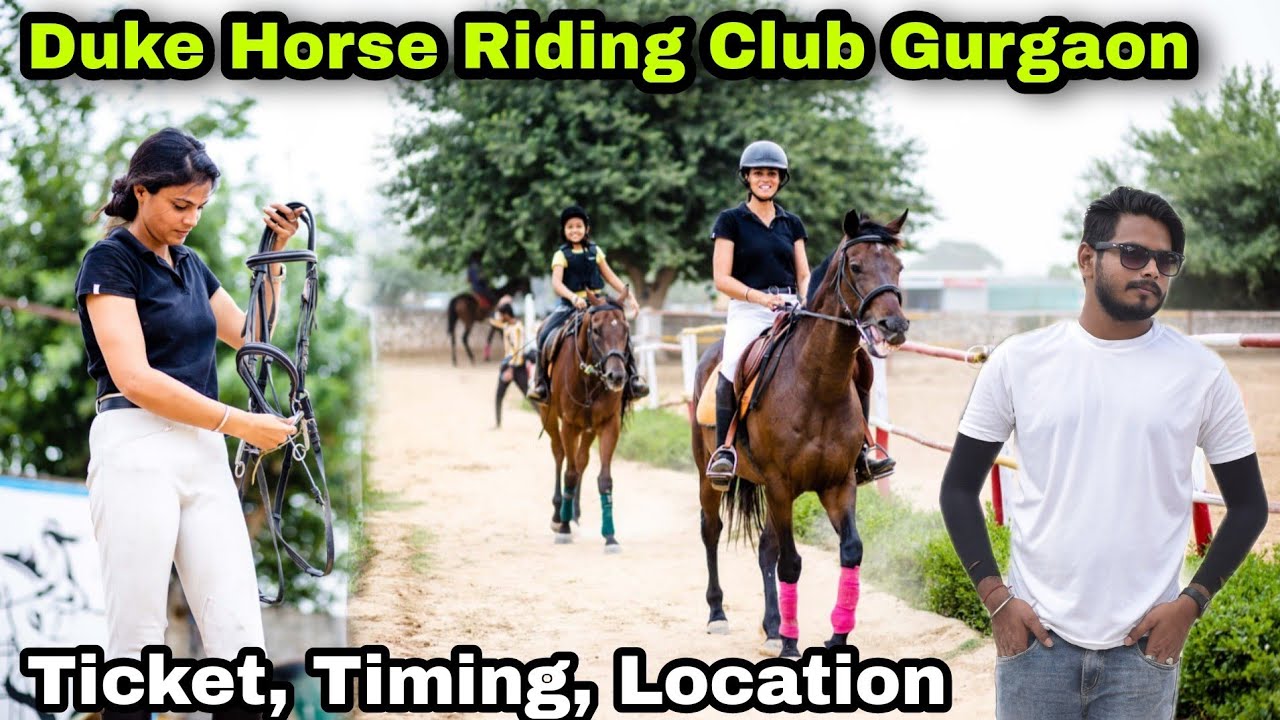 Duke Horse Riding Club Gurgaon/ Horse Riding In Gurgaon/ Joy Ride ...
