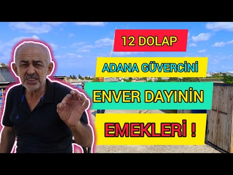 MEŞHUR ENVER DAYININ DOLAP DOLUSU ADANA GÜVERCİNLERİ 150 ÇİFT KUŞ !?