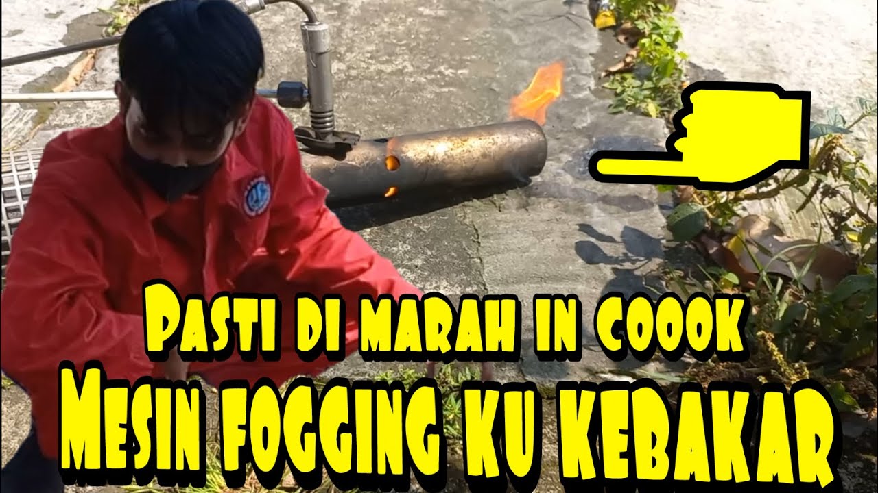 FOGGING NYAMUK !! PENGASAPAN DBD ( DEMAM BERDARAH DENGUE ) !! ALAT ...