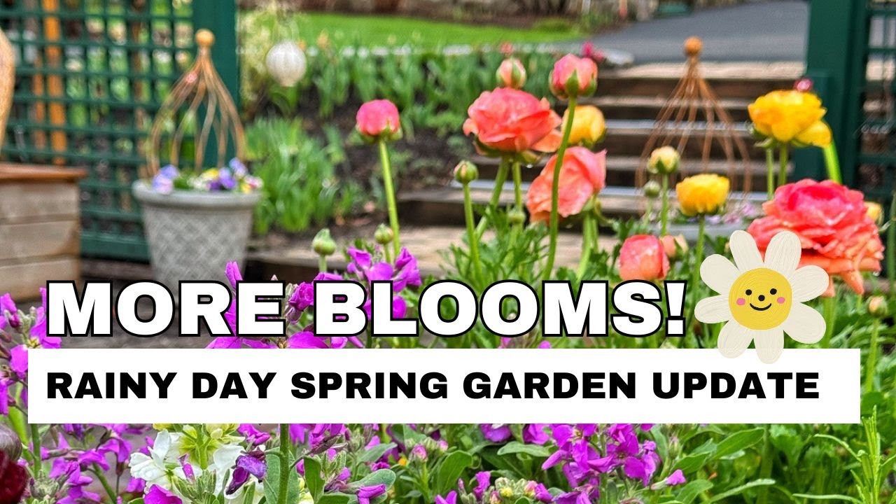 More Spring Color! Rainy Day Garden Tour and Garden Design Ideas - YouTube