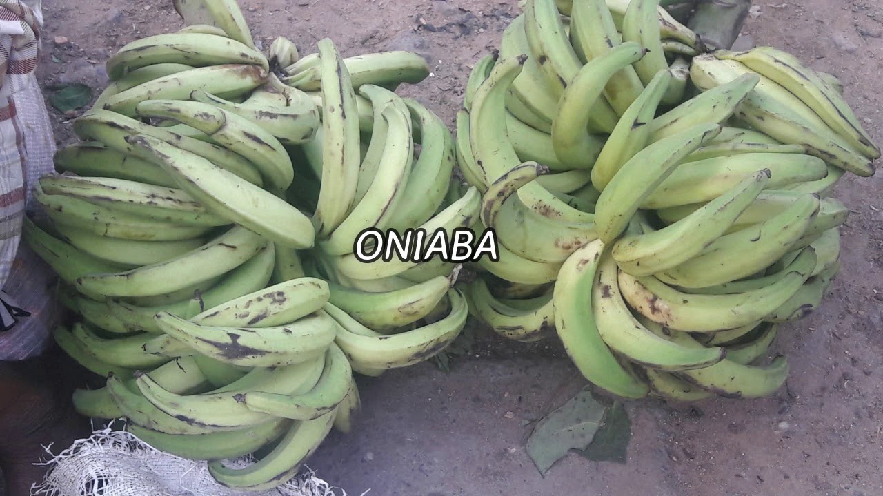 Plantain In Ghana - YouTube