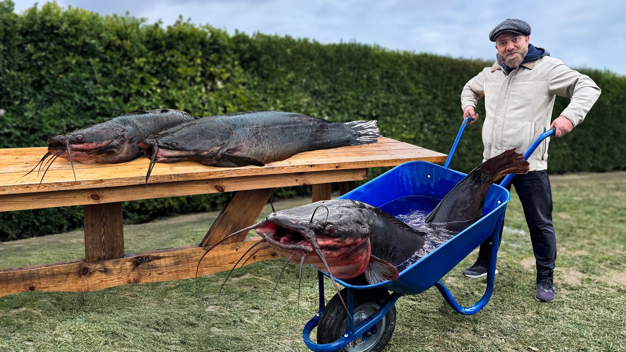 Caught and Cooked a Giant Catfish! Awesome Rustic Fish Recipe - YouTube