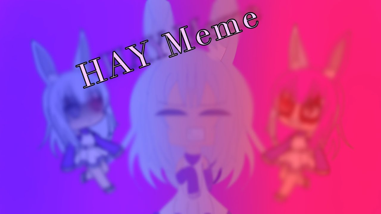 HAY Meme|| =w=|| - YouTube