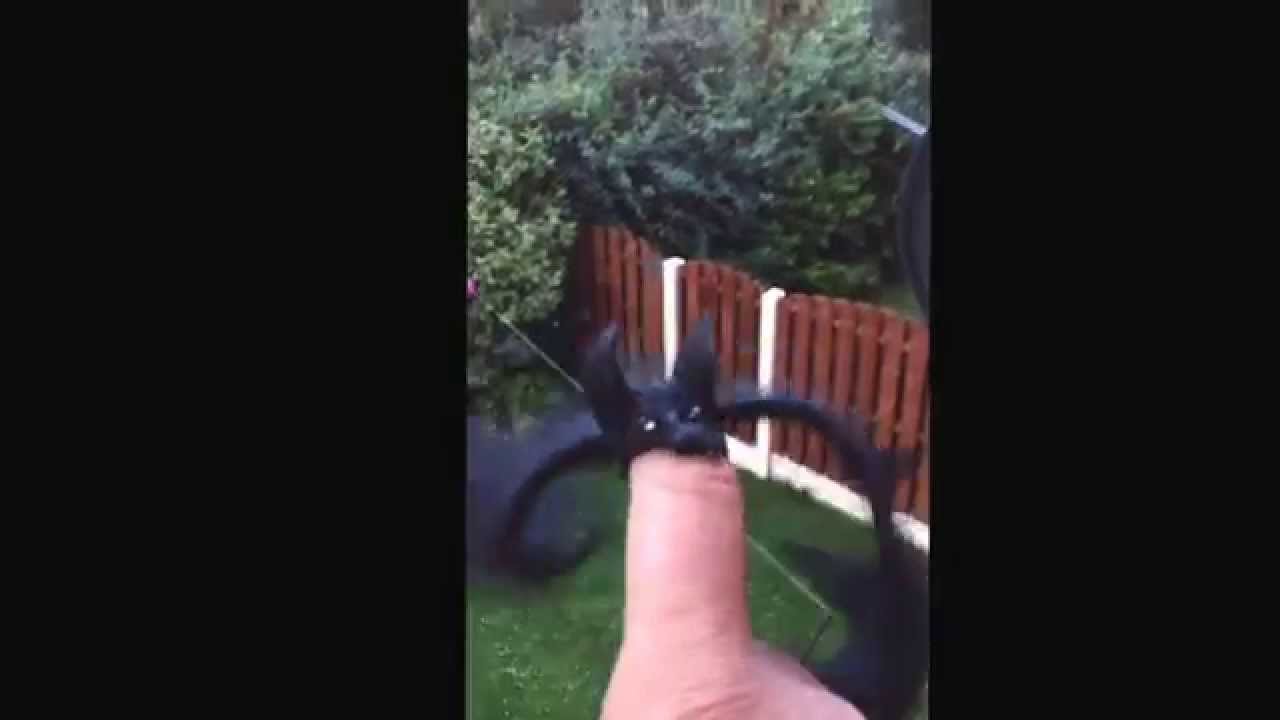 Bat prank!! - YouTube