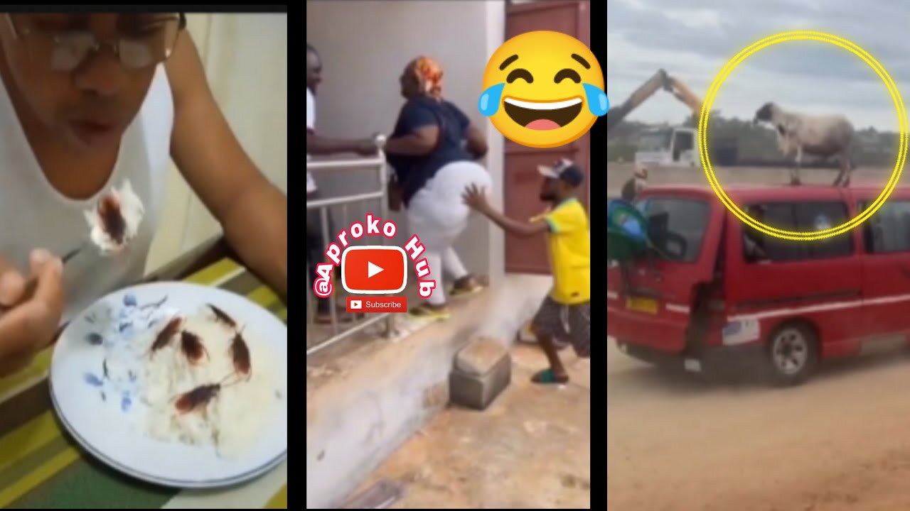 Africa Funny videos compilation EP3 | Try not to laugh 2024 | Aproko ...