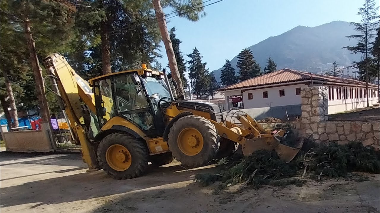 cat beko loder ağaç yükleme #cat #catlover #catvideos #cats #catlovers ...