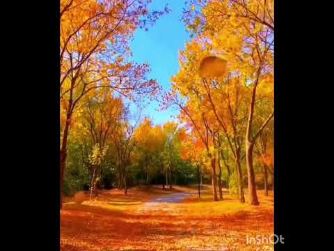 bir payız axşamı itirdim səni. Müəllif-Zəkəriyyə Qurbanov. qiraət- Sahil Cəlilzadə & Hicran Ümid