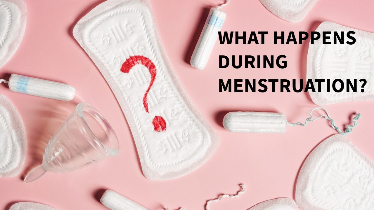 What Happens During Menstration? - YouTube