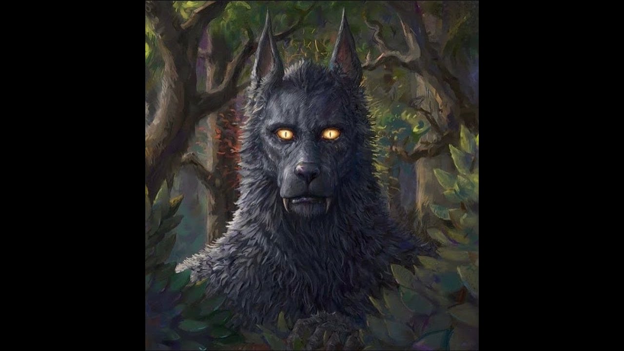 Some Scary Dogman stories - YouTube