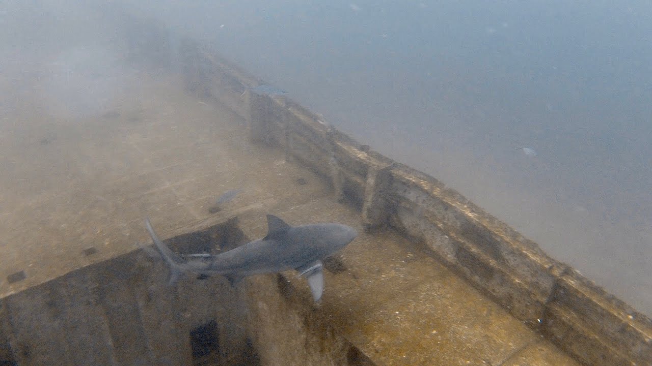 August 17, 2024 — Deep Stim III Off Panama City - YouTube