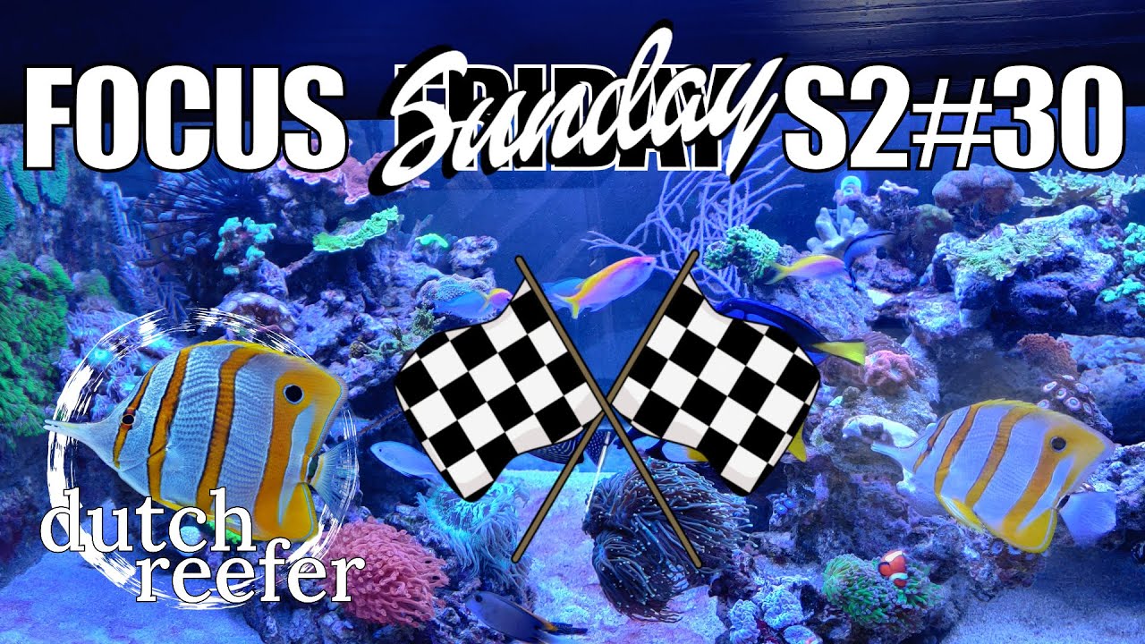 FF S2#30 | Season Finale - Looking Forward - YouTube