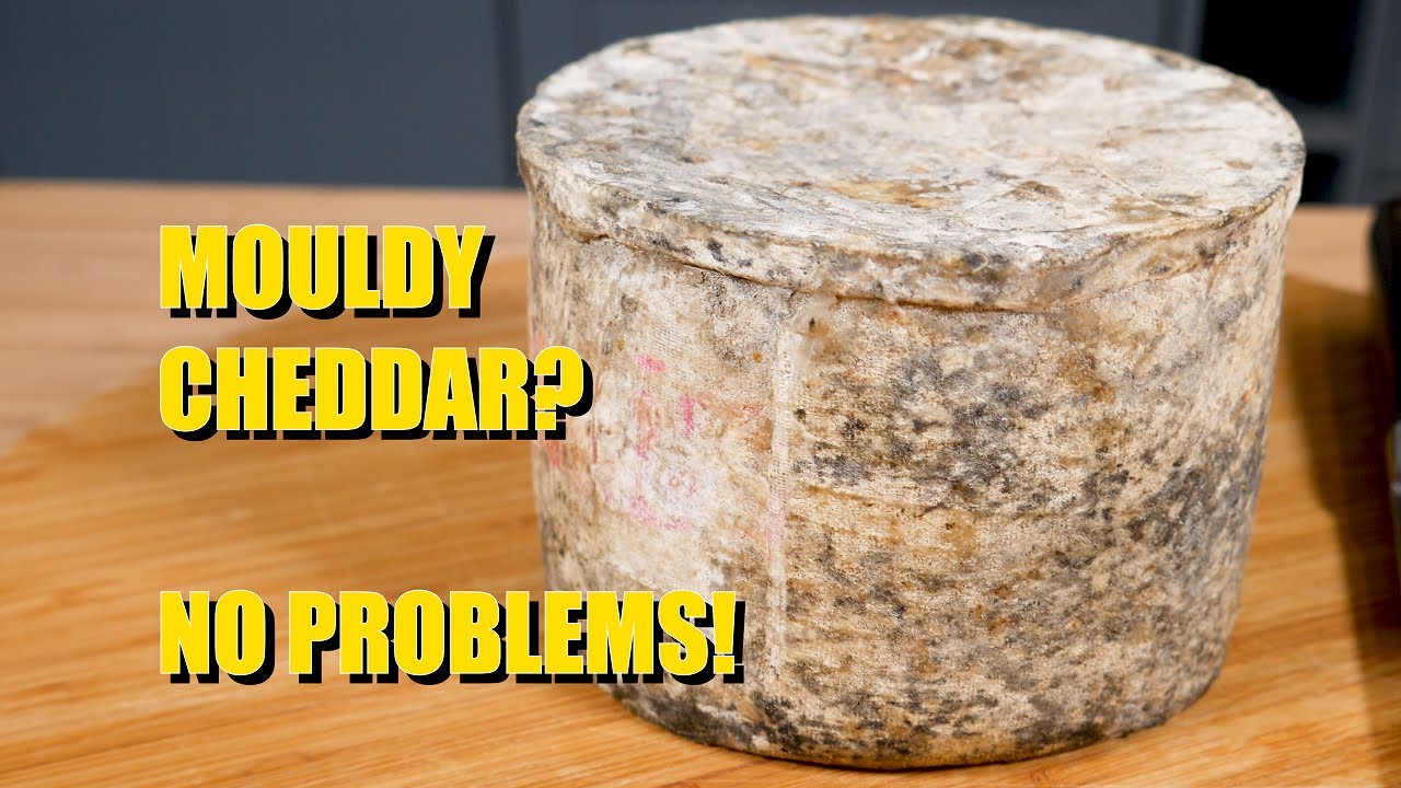 Mold on my Cloth Banded Cheddar? - YouTube