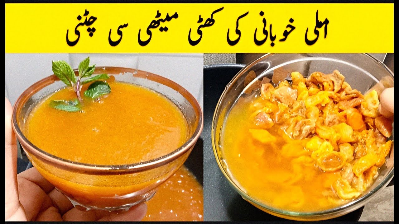 Imli Khubani Ki Khatti Methe Si Chatni By Rozeena Mazhar | Chutney ...