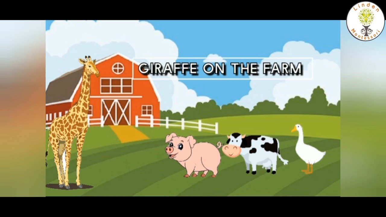 Story: Giraffe on the Farm! - YouTube