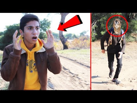 KURT ADAM ÖNÜMÜZÜ KESTİ !! (LÜTFEN YARDIM EDİN 😱)