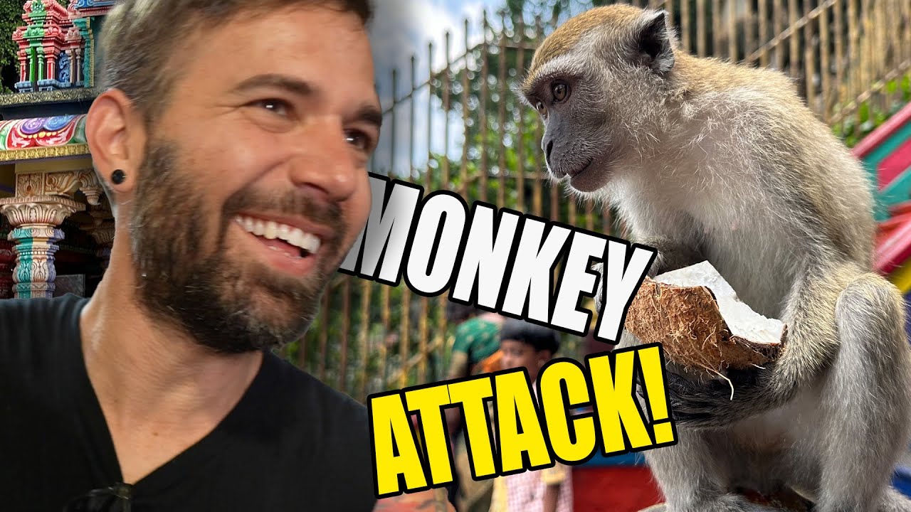 ATTACKED by a Monkey! + the most beautiful place I've ever seen - YouTube