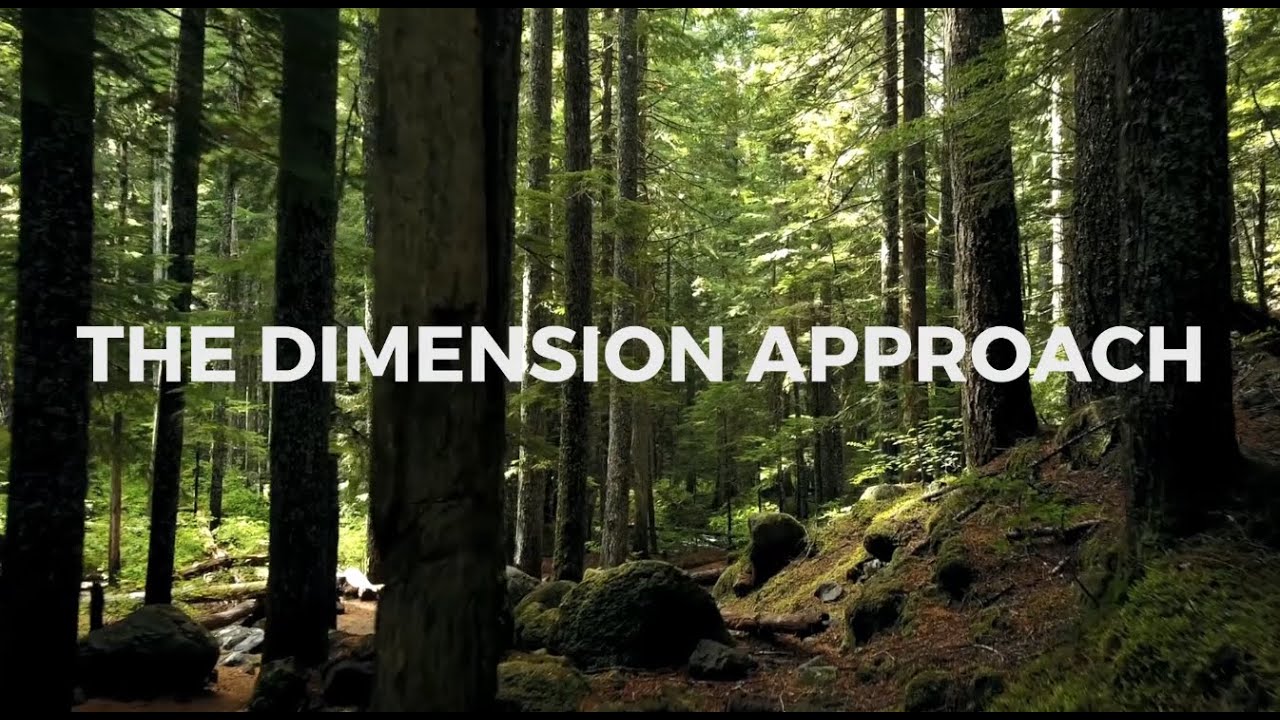 The Dimension Approach - Lance Hauge - YouTube