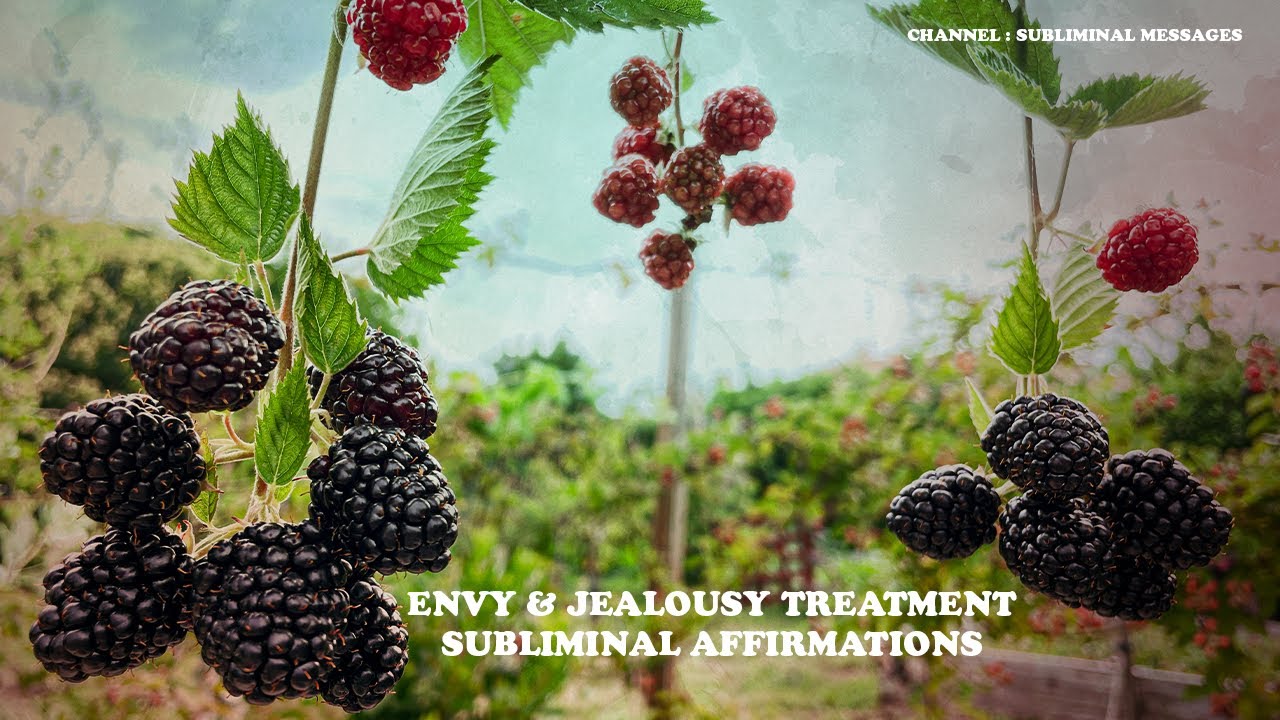 "ENVY & JEALOUSY TREATMENT" SUBLIMINAL AFFIRMATIONS - YouTube