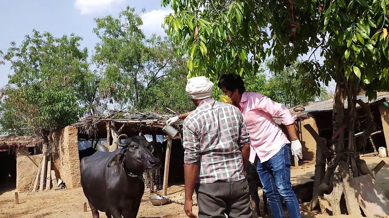 Sabola part 2(1) - YouTube